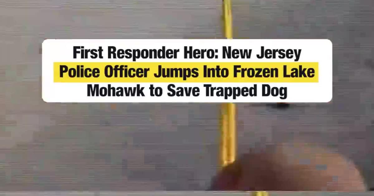 First Responder Hero: New Jersey Police Officer Jumps Into Frozen Lake ...